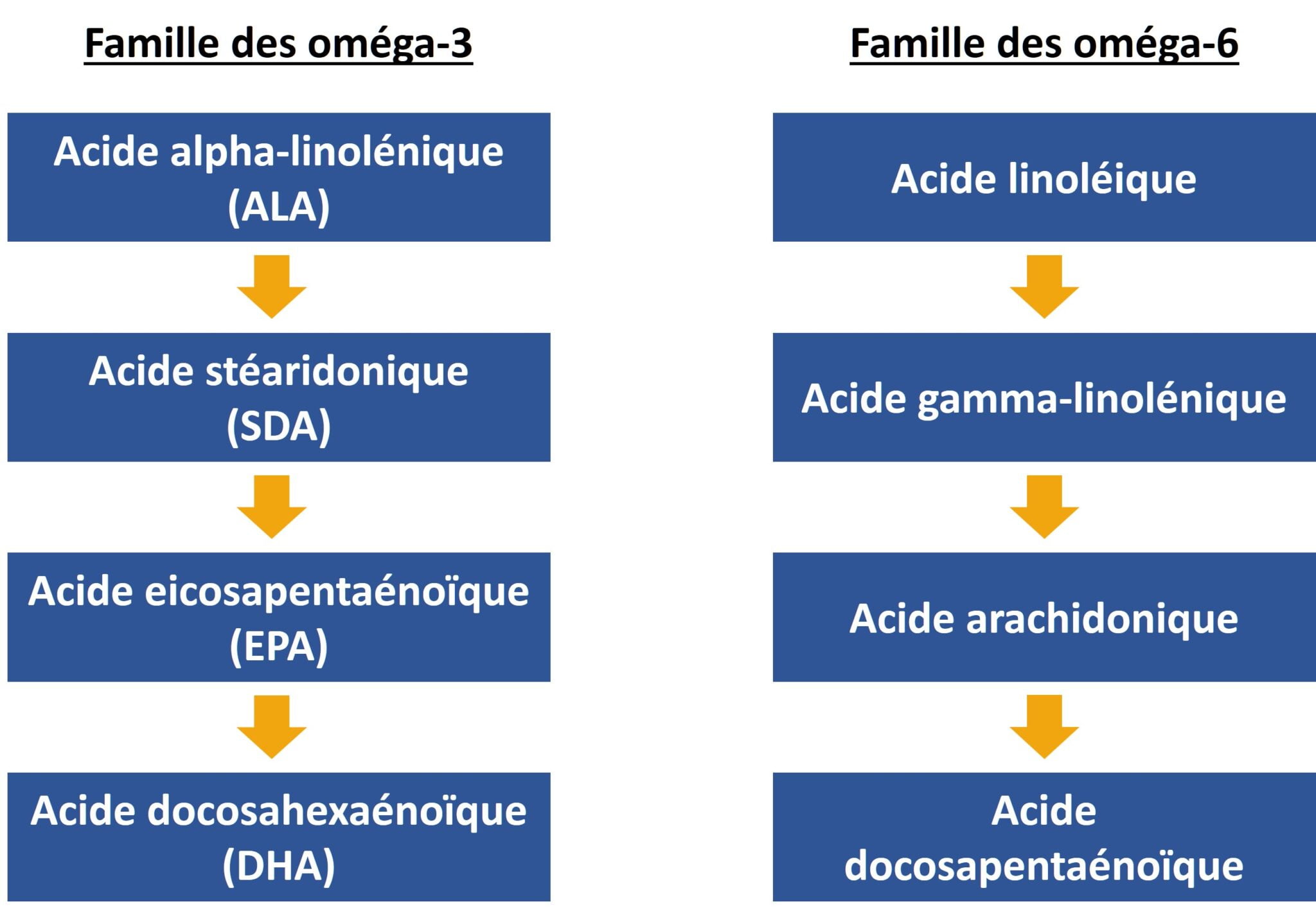 Oméga-3 : quels sont les réels bienfaits ? - nutriting