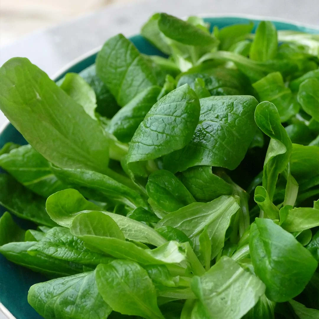 La salade mâche, plus c’est frais plus ça “mâche” ! - nutriting