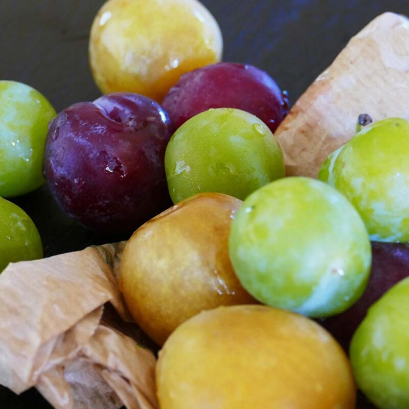 Le maïs : fruit, légume ou céréale ? - nutriting