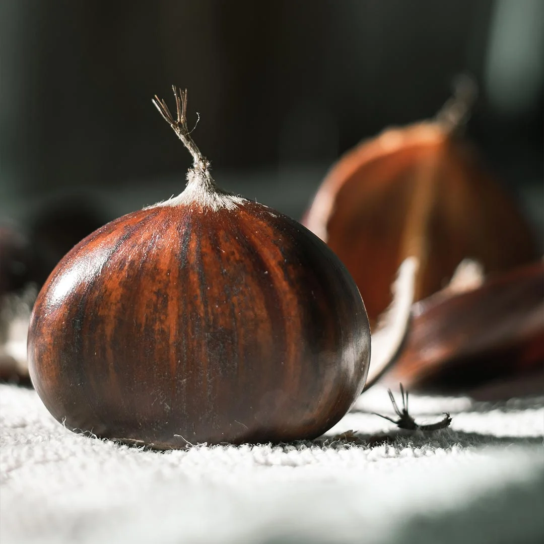 La châtaigne, de plat du pauvre à plat de fête - nutriting